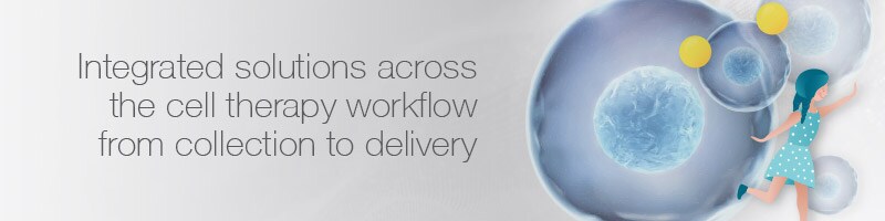 Cell Therapy Workflow Infoposter | Thermo Fisher Scientific - CN