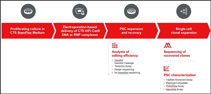CTS StemFlex Medium | Thermo Fisher Scientific - CN