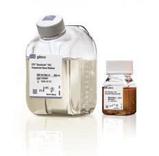 CTS StemScale PSC 悬浮培养基 | Thermo Fisher Scientific - CN