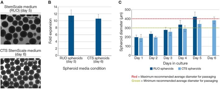 CTS StemScale PSC 悬浮培养基 | Thermo Fisher Scientific - CN
