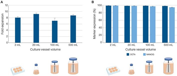 CTS StemScale PSC 悬浮培养基 | Thermo Fisher Scientific - CN