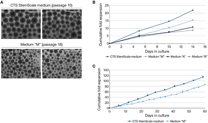 CTS StemScale PSC 悬浮培养基 | Thermo Fisher Scientific - CN