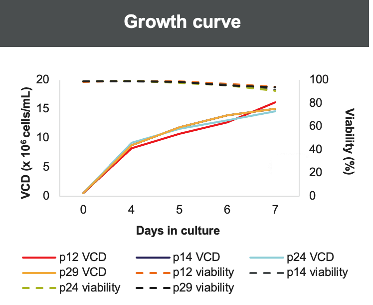 用于细胞和基因治疗的腺相关病毒生产 | Thermo Fisher Scientific - CN