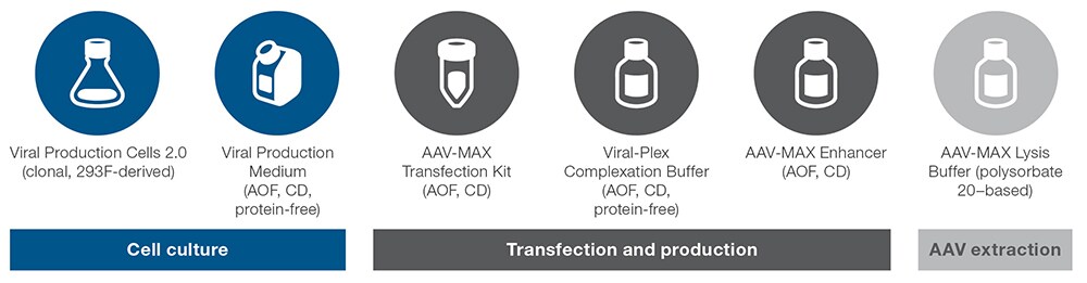用于细胞和基因治疗的腺相关病毒生产 | Thermo Fisher Scientific - CN
