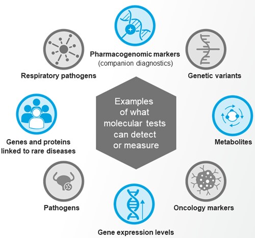 An introduction to diagnostic testing in laboratories | Thermo Fisher ...