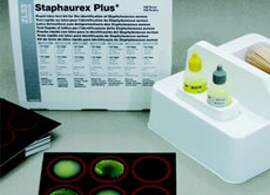 Latex Agglutination Identification | Thermo Fisher Scientific - CN