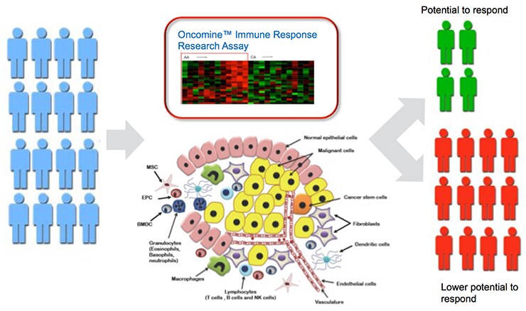 Oncomine 免疫应答研究检测试剂盒 | Thermo Fisher Scientific - CN