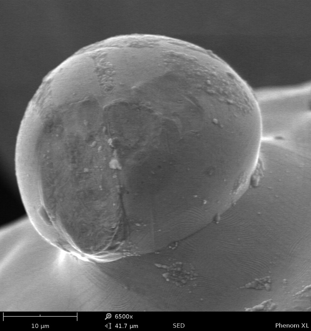 Desktop SEM | Phenom ParticleX TC | Thermo Fisher Scientific - CN