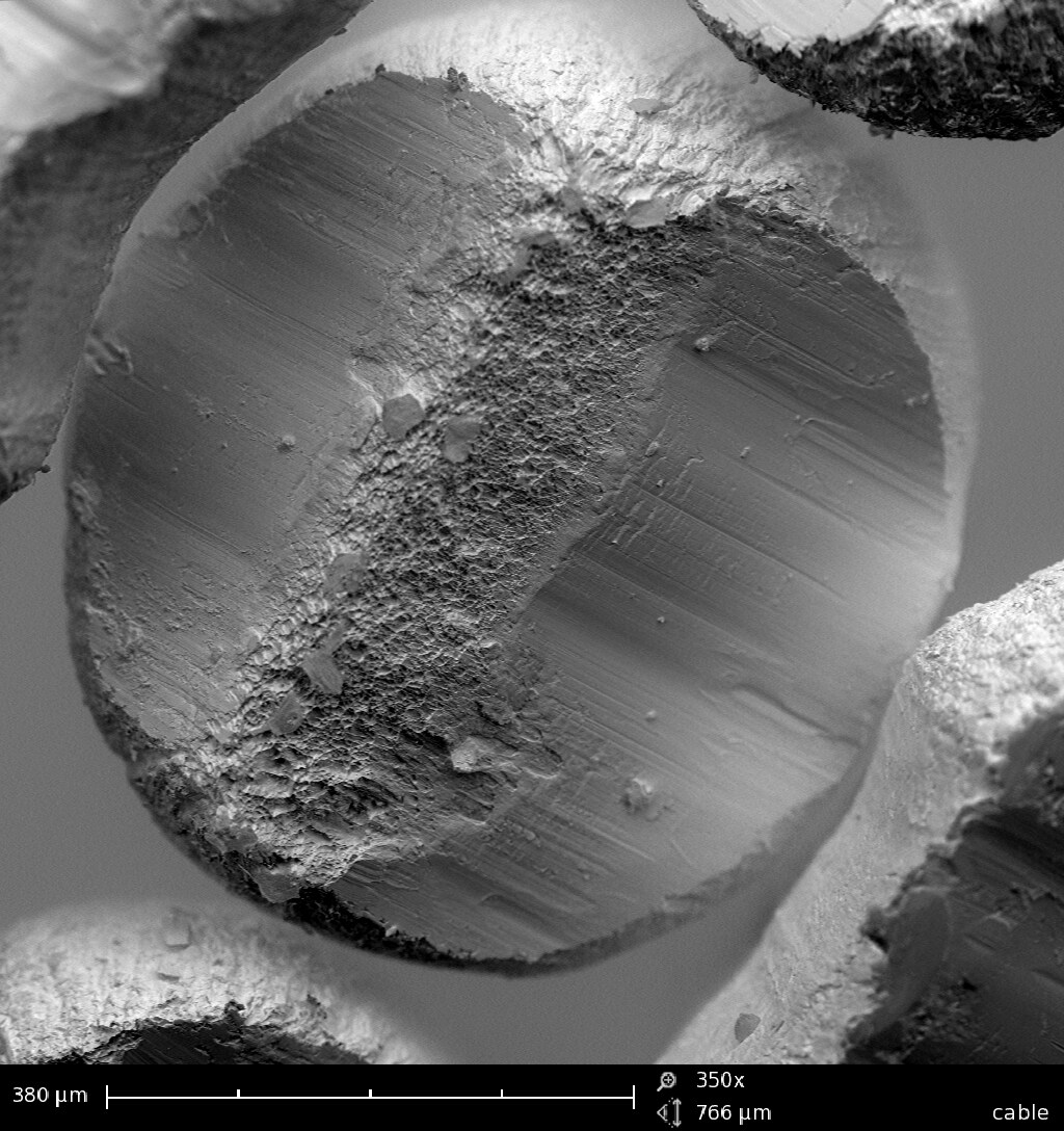 Desktop SEM | Phenom ProX | Thermo Fisher Scientific - CN