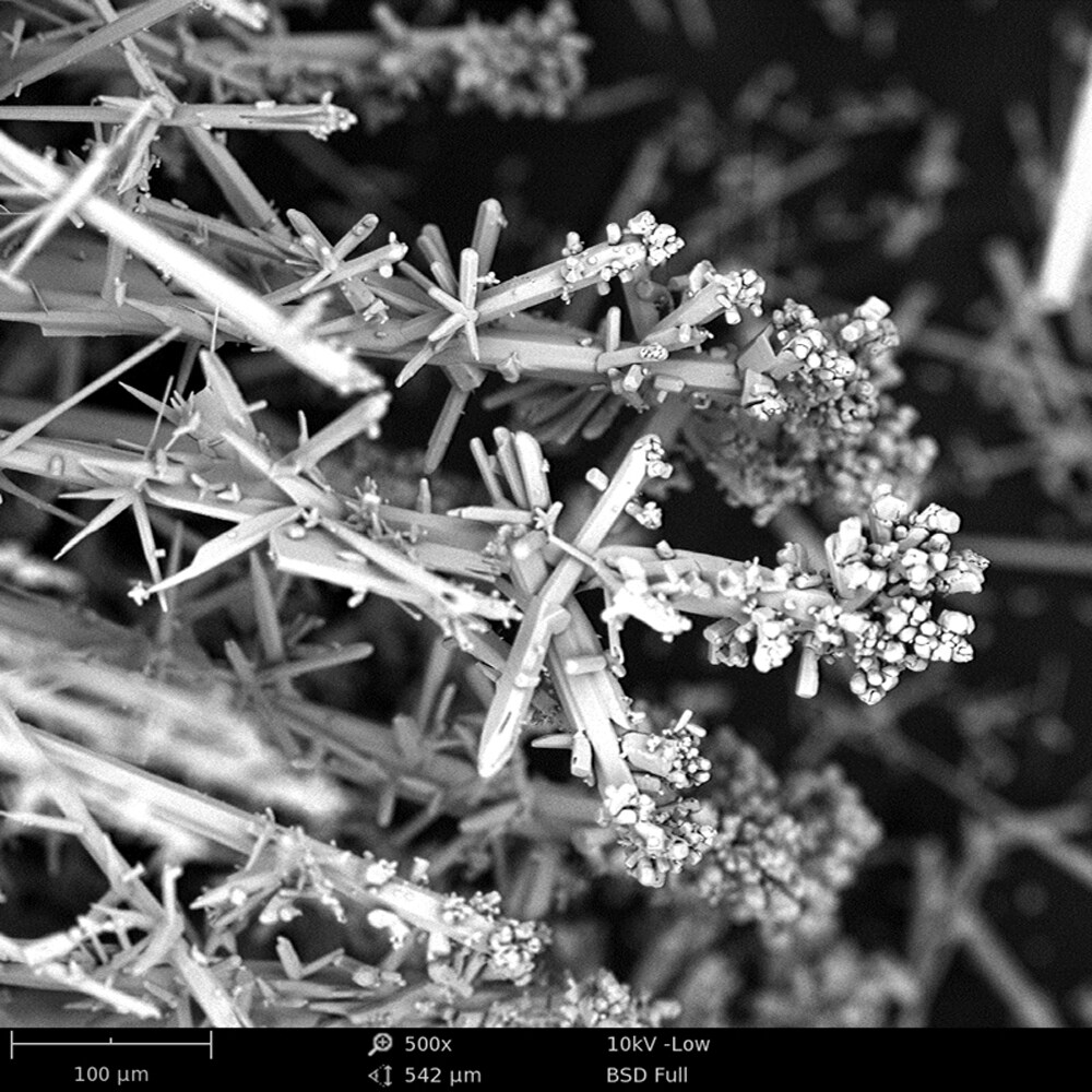 Desktop SEM | Phenom XL G2 | Thermo Fisher Scientific - CN