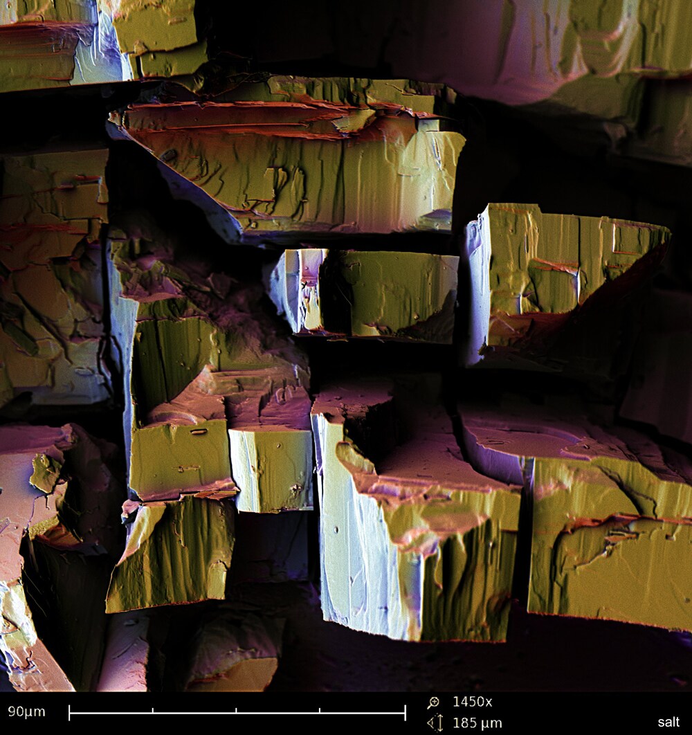 Desktop SEM | Phenom XL G2 | Thermo Fisher Scientific - CN