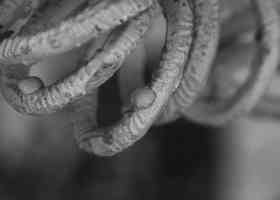 Desktop SEM | Phenom XL G2 | Thermo Fisher Scientific - CN