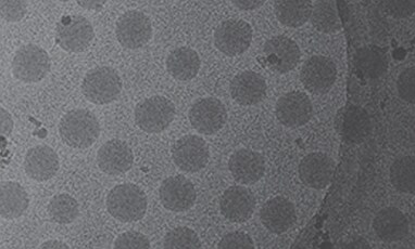 Vitrobot冷冻电镜样品制备系统 | 赛默飞 | Thermo Fisher Scientific - CN