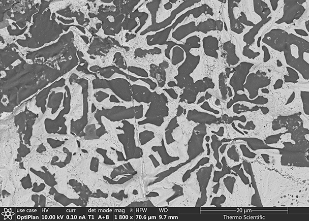 Apreo 2 SEM – 高分辨场发射扫描电镜 | 赛默飞 | Thermo Fisher Scientific - CN