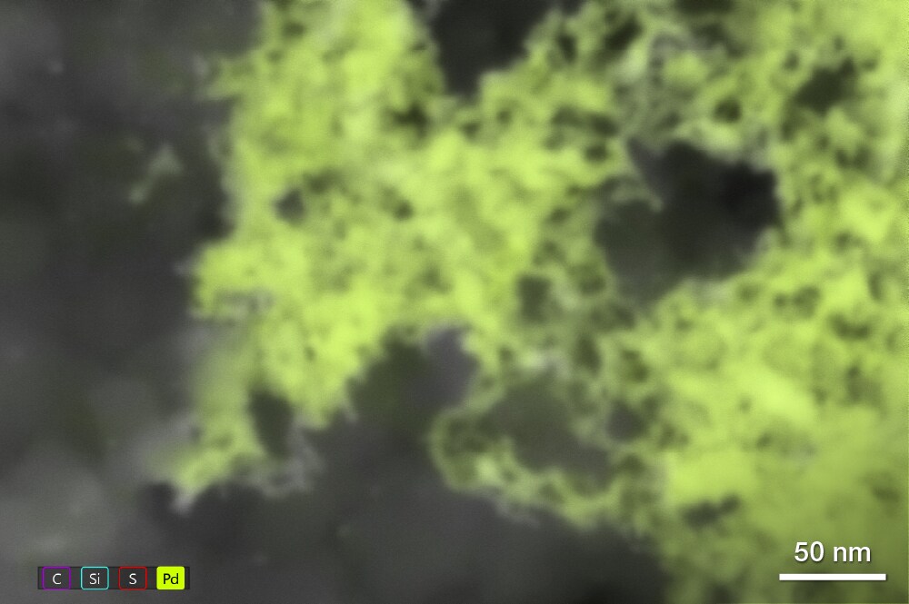 Apreo 2 SEM – 高分辨场发射扫描电镜 | 赛默飞 | Thermo Fisher Scientific - CN