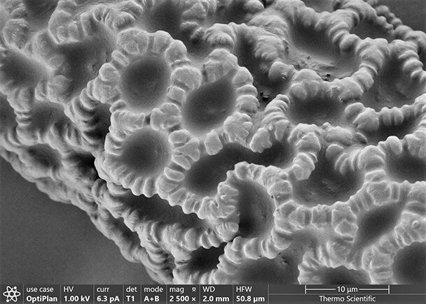 Apreo 2 SEM – 高分辨场发射扫描电镜 | 赛默飞 | Thermo Fisher Scientific - CN