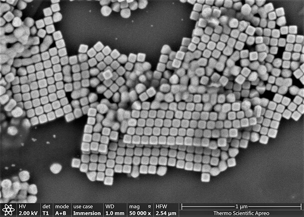 Apreo 2 SEM – 高分辨场发射扫描电镜 | 赛默飞 | Thermo Fisher Scientific - CN