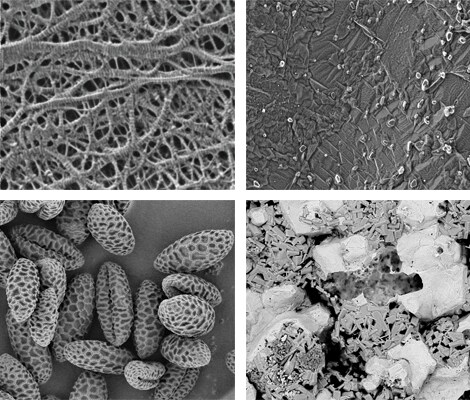 Apreo 2 SEM – 高分辨场发射扫描电镜 | 赛默飞 | Thermo Fisher Scientific - CN