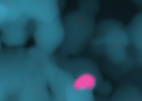 扫描电子显微镜 | Apreo 2 | Thermo Fisher Scientific - CN