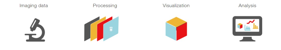 3D Visualization And Analysis Software | Thermo Fisher Scientific - CN