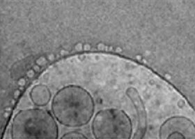 AutoScript TEM Software | Thermo Fisher Scientific - CN