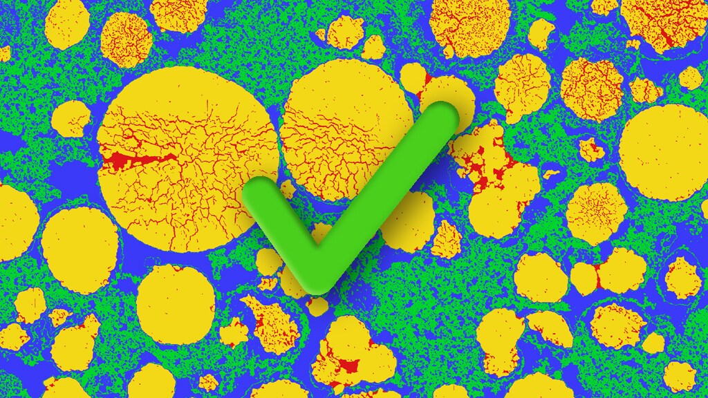 Avizo 软件 | 清洁能源软件 | Thermo Fisher Scientific - CN