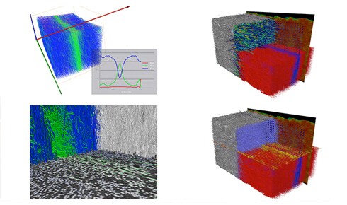 Avizo Software for fiber analysis | Thermo Fisher Scientific - CN