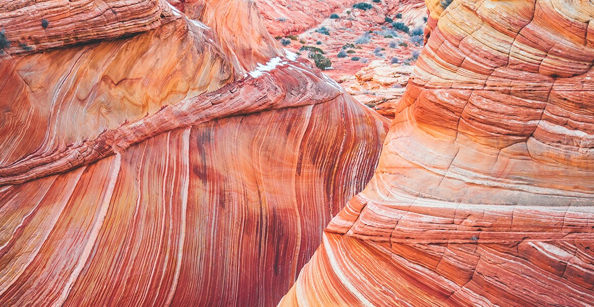 Avizo 软件 | 材料表征软件 | Thermo Fisher Scientific - CN