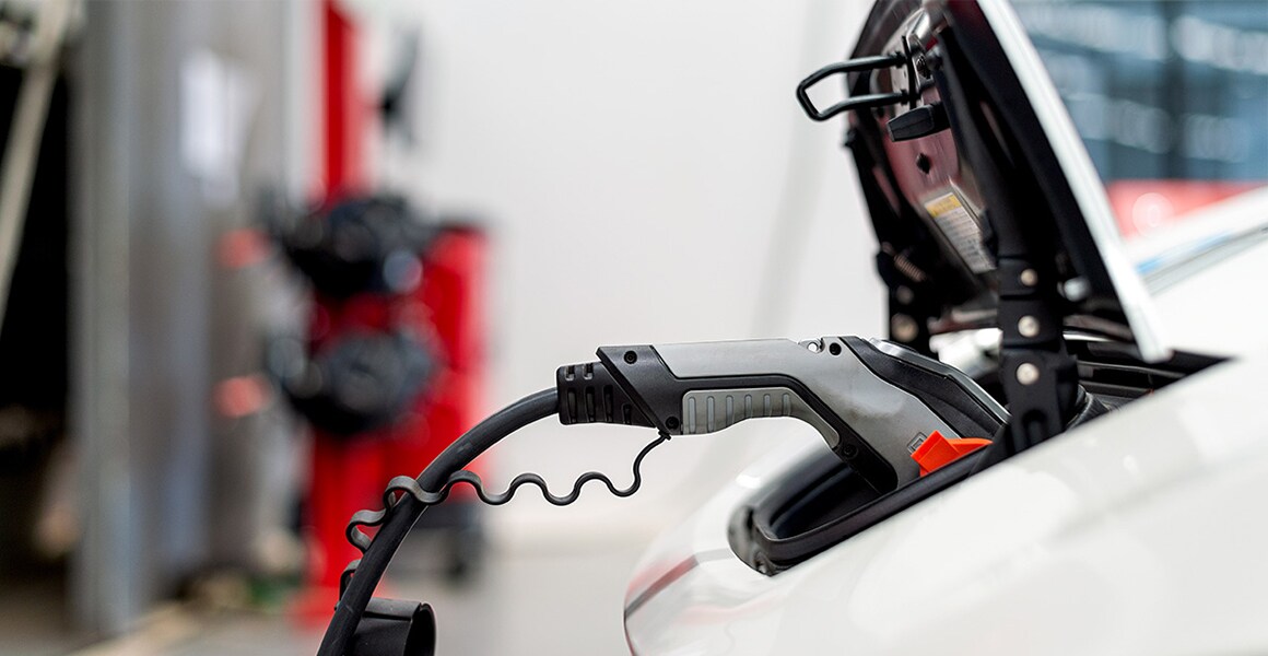 Avizo 软件 | 材料表征软件 | Thermo Fisher Scientific - CN