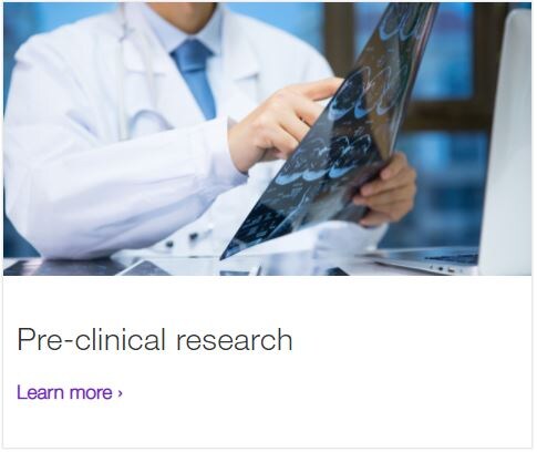 Avizo软件用于网格和FEA模拟 | 赛默飞 | Thermo Fisher Scientific - CN