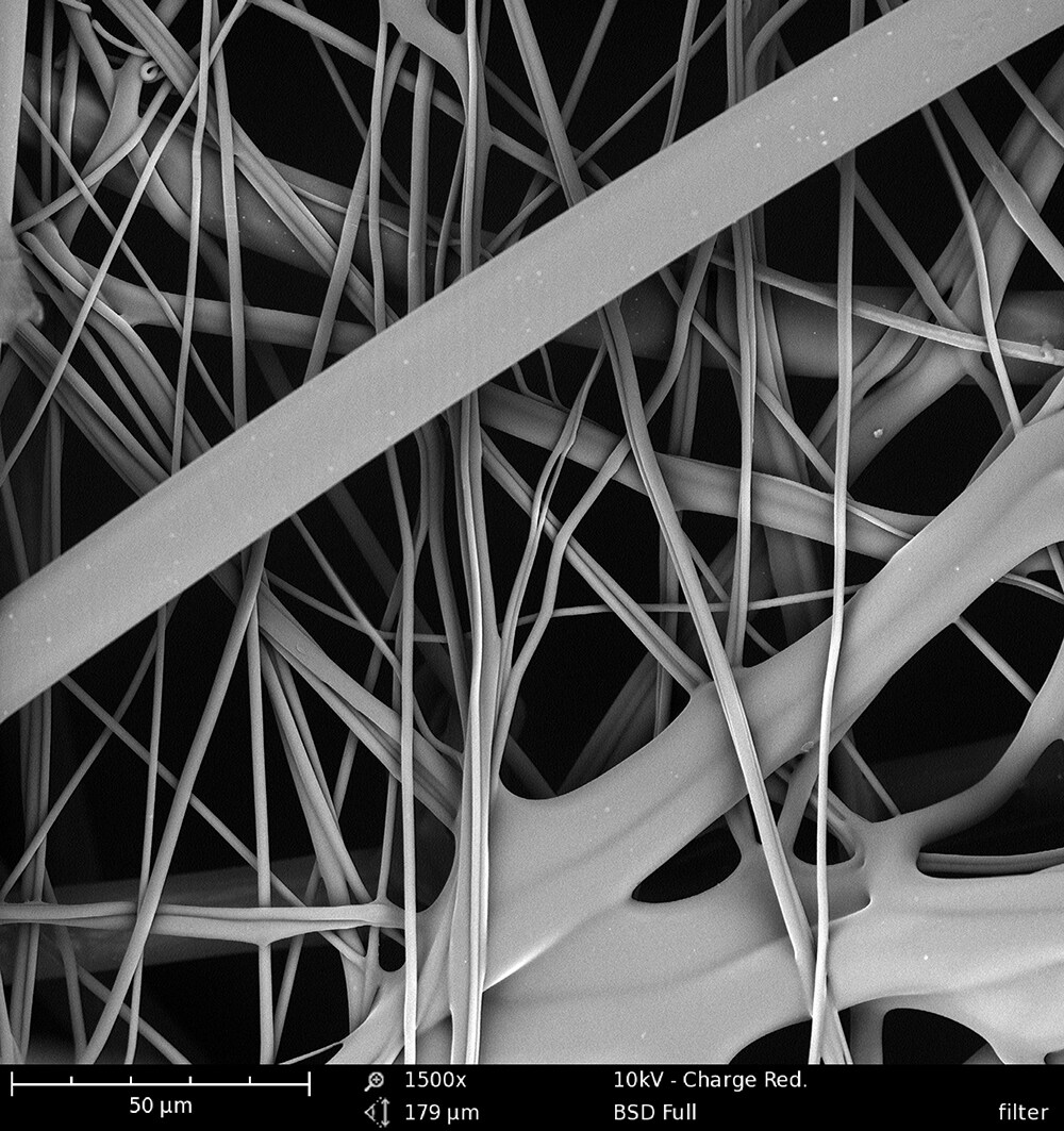 Desktop SEM Software | FiberMetric Software | Thermo Fisher Scientific - CN