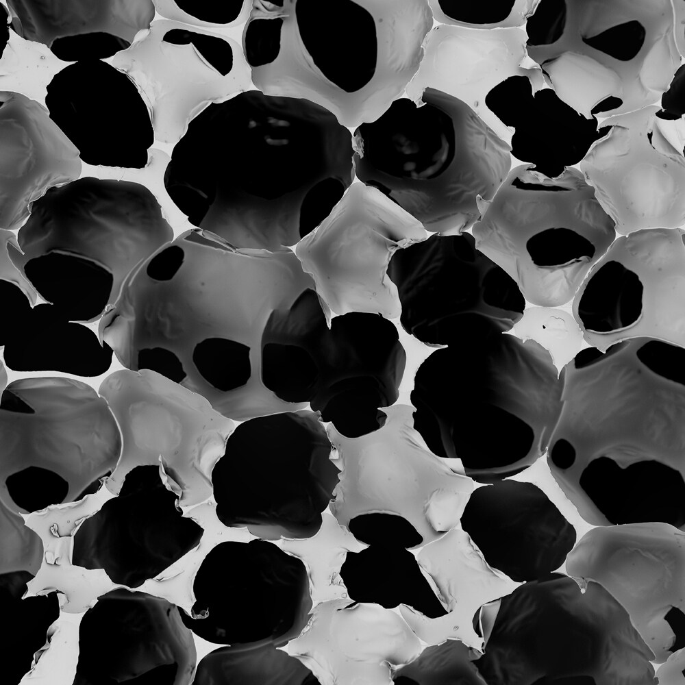 Phenom Software | Phenom Programming Interface | Thermo Fisher ...