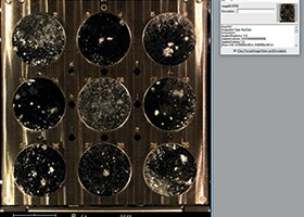 Phenom Software | Quartz PCI/CFR Software | Thermo Fisher Scientific - CN