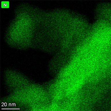 STEM 显微镜 | Talos F200i | Thermo Fisher Scientific - CN
