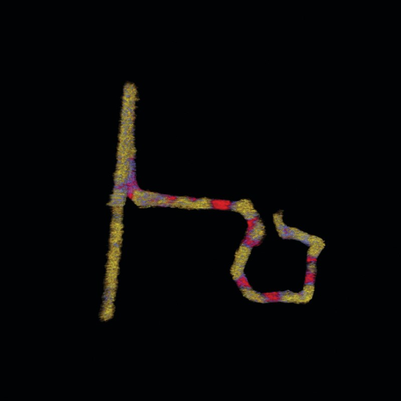 STEM 显微镜 | Talos F200X G2 TEM | 赛默飞 | Thermo Fisher Scientific - CN