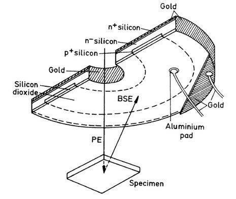 SEM working principle: the detection of backscattered electrons ...