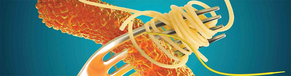 Food Microbiology Testing Methods: Salmonella Species Chapter | Thermo ...