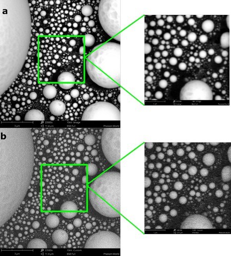 Spot size in scanning electron microscopy (SEM): why it matters ...