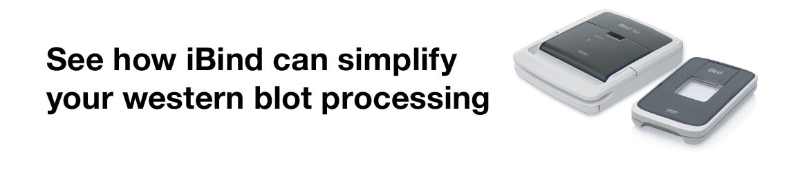 iBind Western Systems Demo Request | Thermo Fisher Scientific - CN