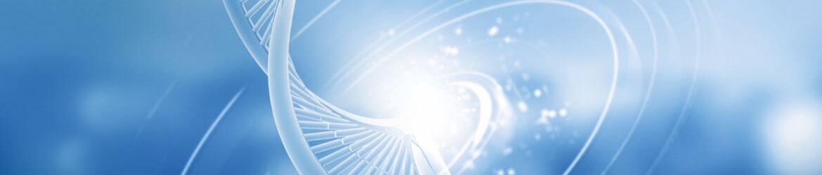 Primer Express Software Download | Thermo Fisher Scientific - CN