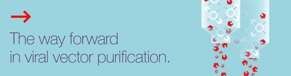 Discover key factors for successful viral vector purification | Thermo Fisher Scientific - CN