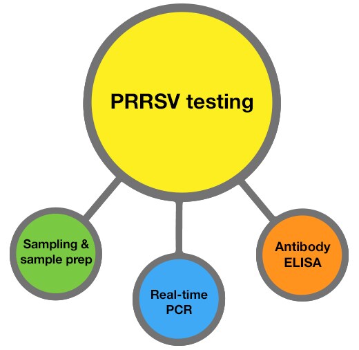 PRRSV 诊断 | Thermo Fisher Scientific - CN