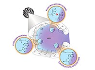 HILIC Overview | Thermo Fisher Scientific - CN