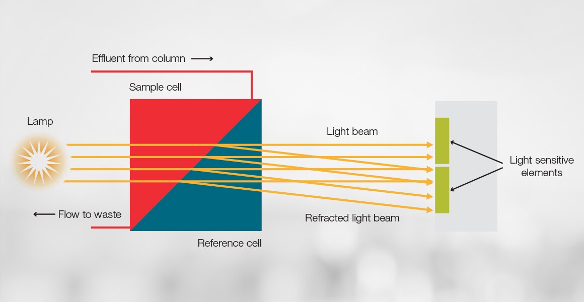 How HPLC Detectors Work | Thermo Fisher Scientific - CN