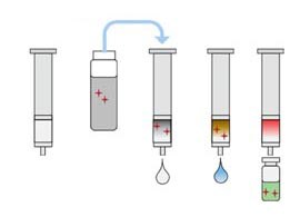 SPE Method Development | Thermo Fisher Scientific - CN