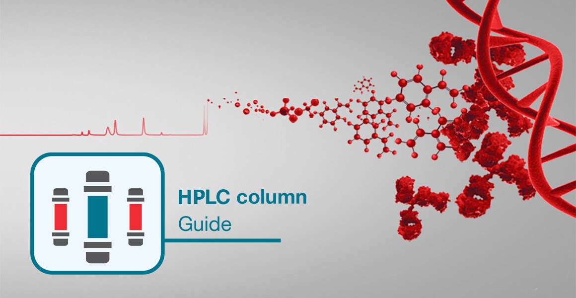 聚合体分析体积排除色谱（SEC）HPLC 色谱柱 | Thermo Fisher Scientific - CN