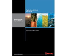 Hypercarb HPLC and UHPLC Columns | Thermo Fisher Scientific - CN