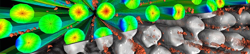 Avizo 9.2的新功能 | Thermo Fisher Scientific - CN