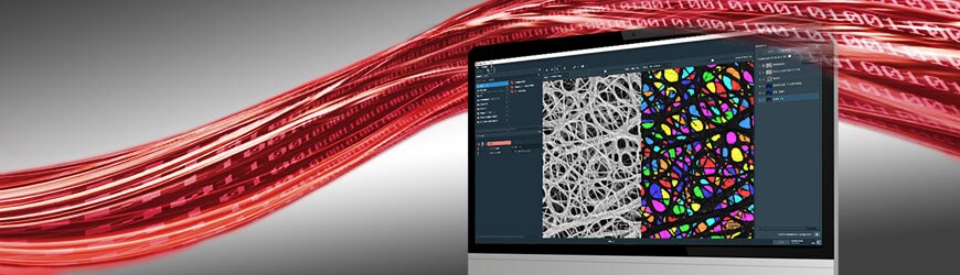 Avizo 软件 | Avizo2D 软件 | Thermo Fisher Scientific - CN