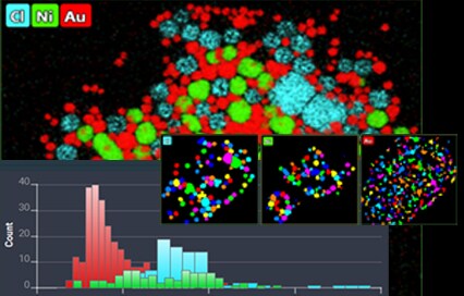 Avizo Software | Avizo2D Software | Thermo Fisher Scientific - CN